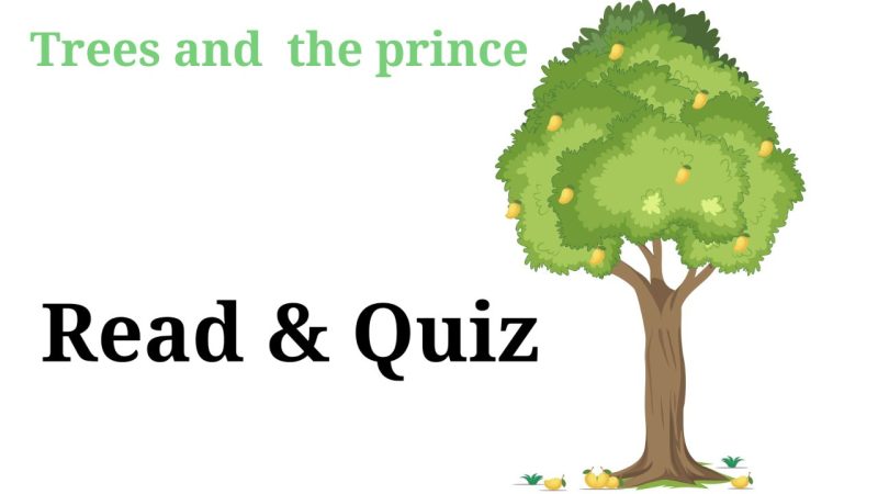 Reading Comprehension And Quiz| 10 Useful And Tricky Question